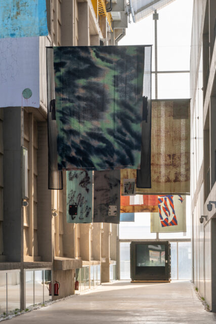 エリーズ・キャロン＆ファニー・ドゥヴォー／Élise CARRON & Fanny DEVAUX - 第8回 横浜トリエンナーレ